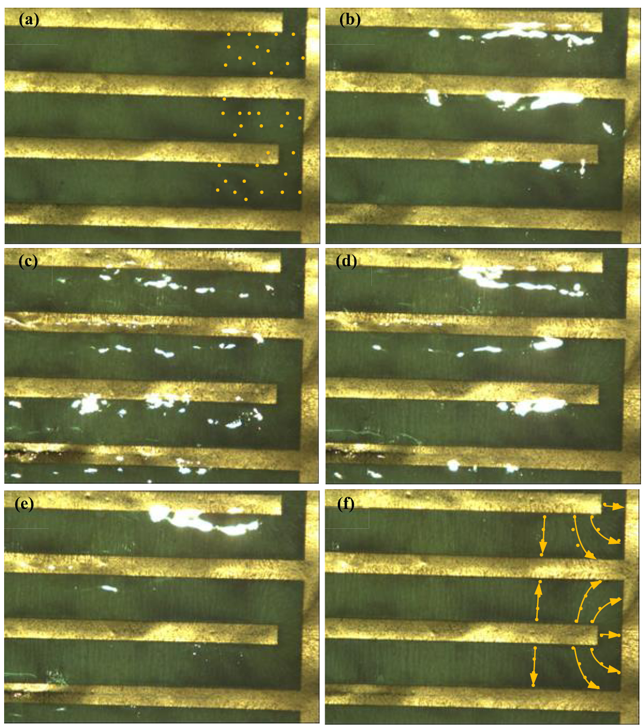 Visualization methods for understanding the dynamic electroadhesion ...