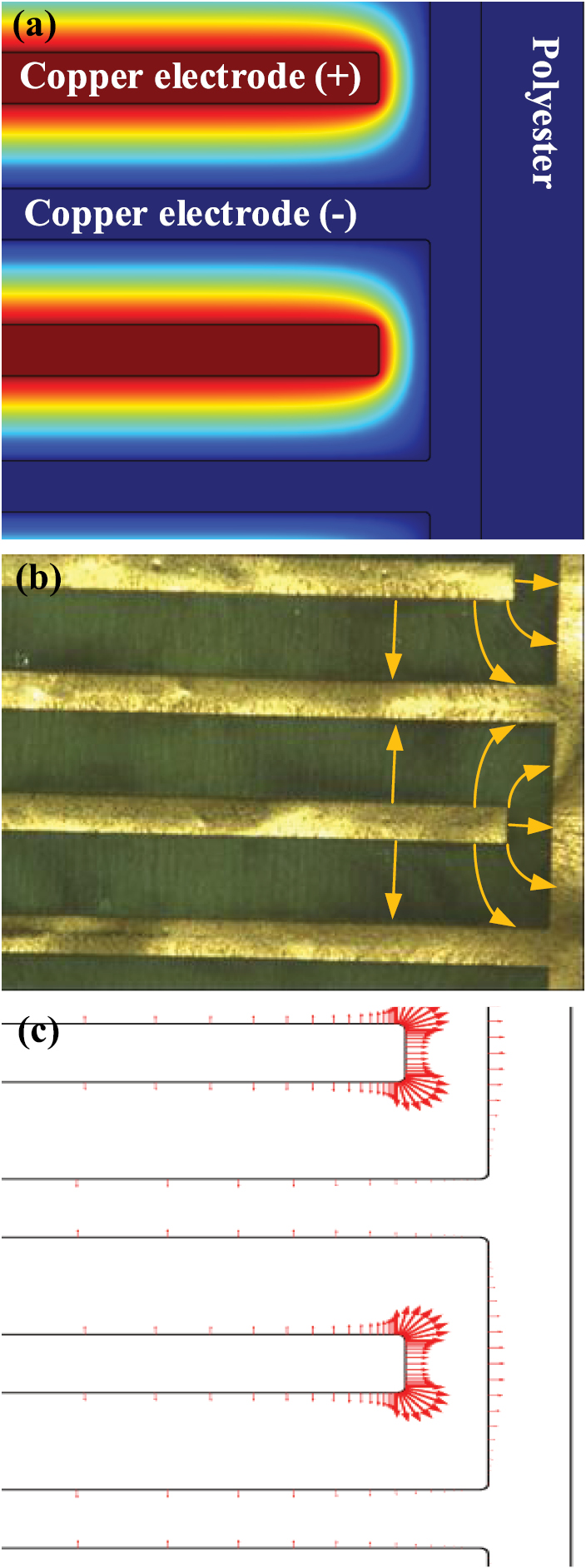 Visualization methods for understanding the dynamic electroadhesion ...