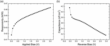Large-area silicon nanowire Schottky junction photodetector with ...