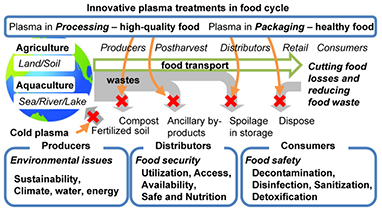 The 2017 Plasma Roadmap: Low temperature plasma science and technology ...