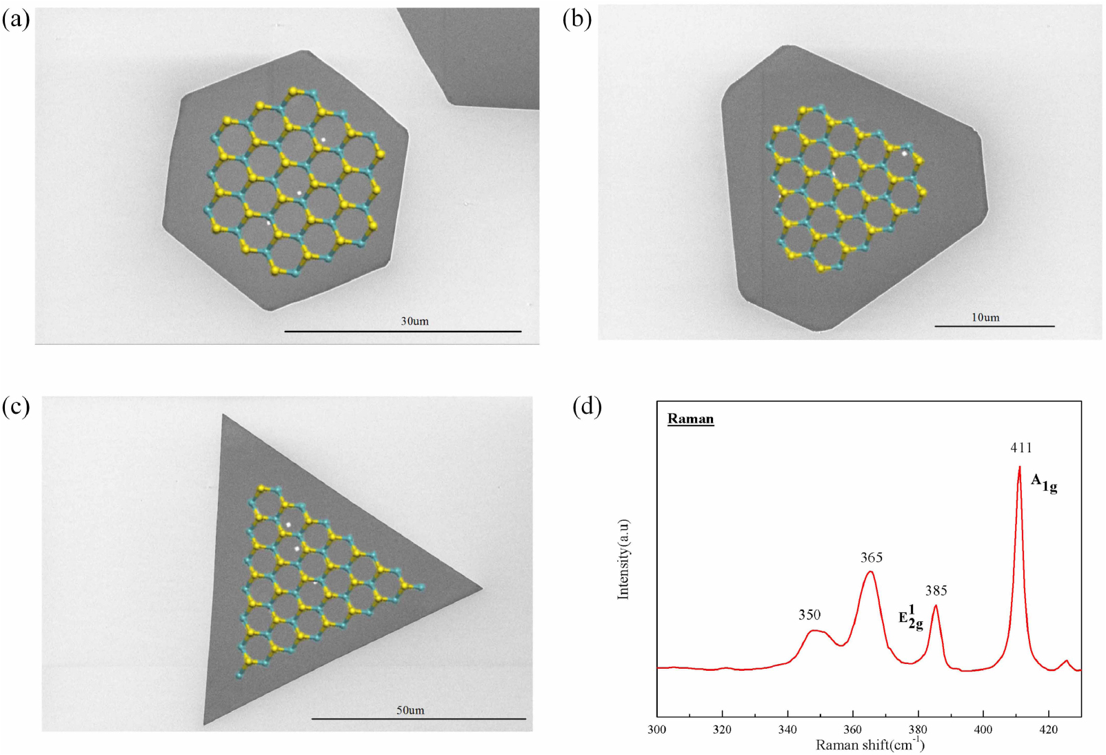 Effect of Mo concentration on shape and size of monolayer MoS2 crystals ...