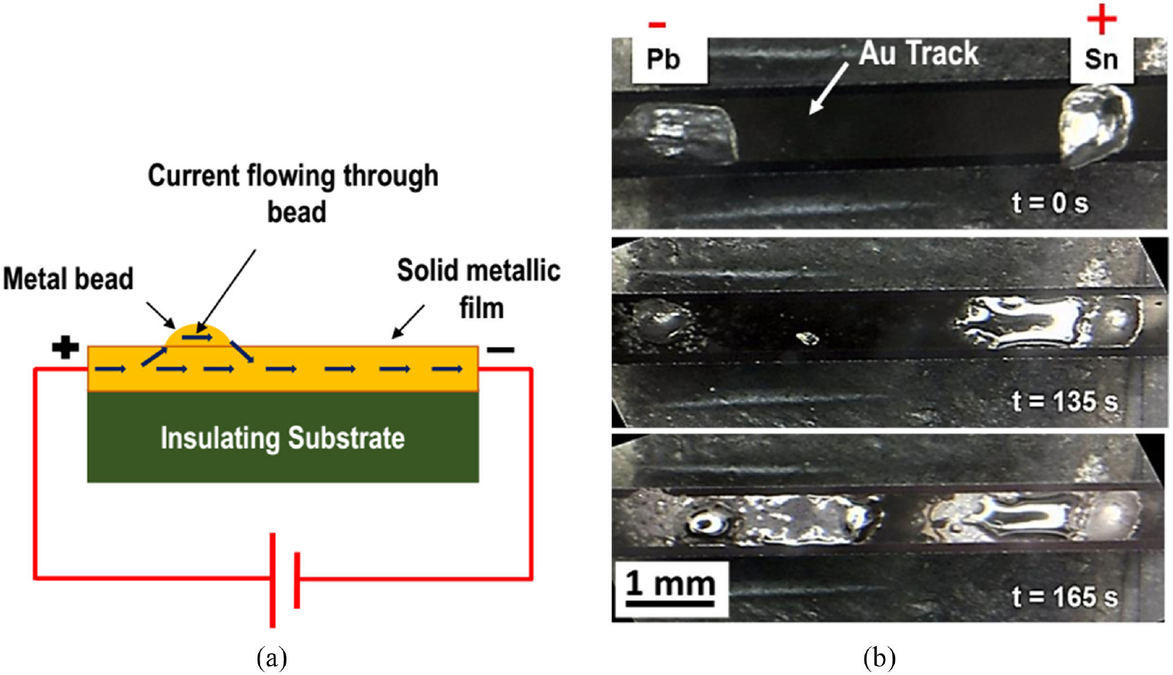 A model for electromigration induced flow in liquid metals - IOPscience