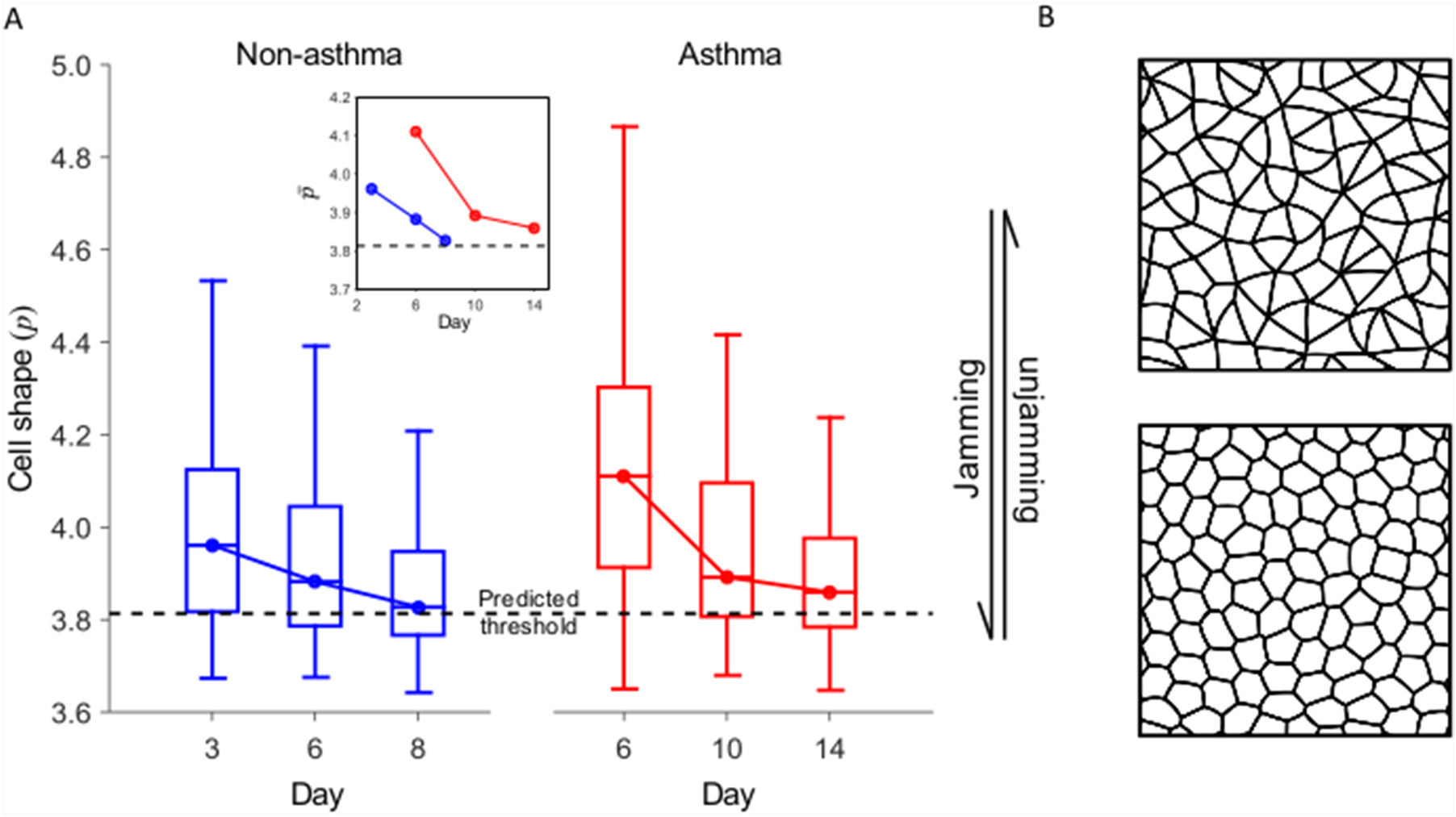 Jamming transitions in cancer - IOPscience