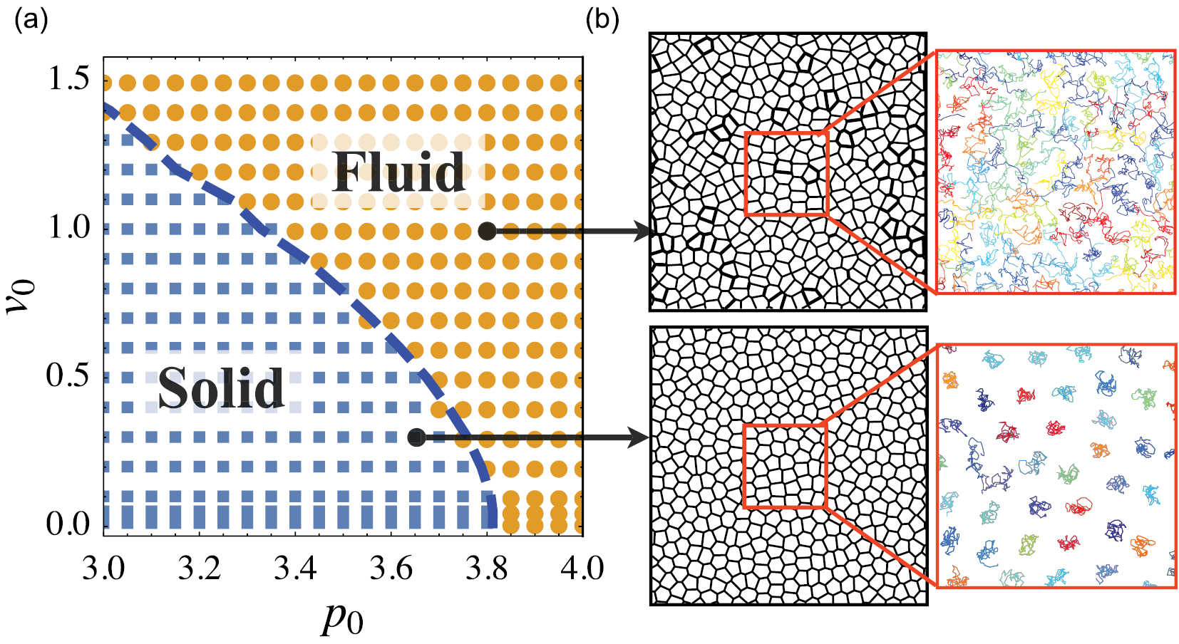 Jamming transitions in cancer - IOPscience