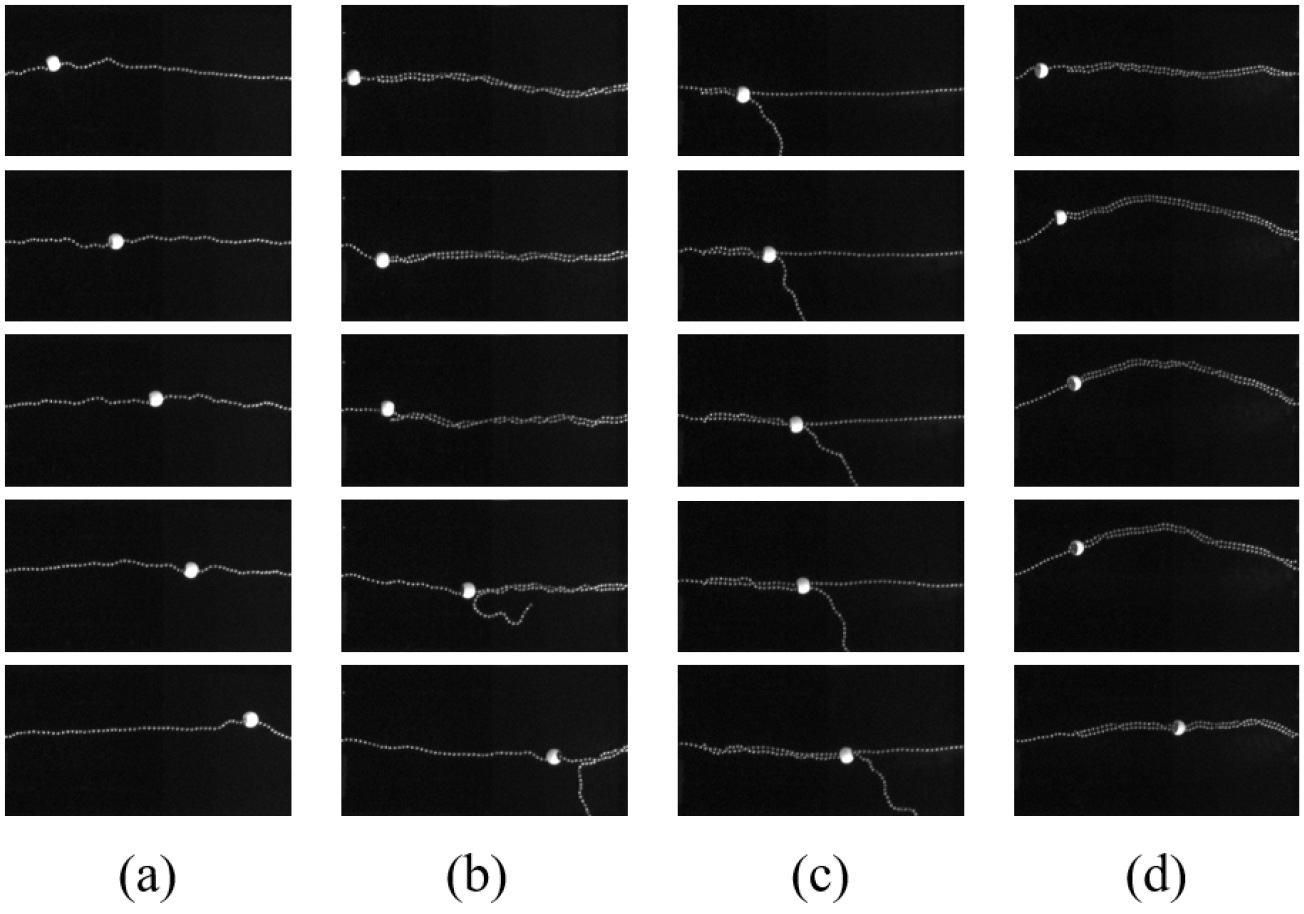 A mechanical mechanism for translocation of ring-shaped helicases on ...