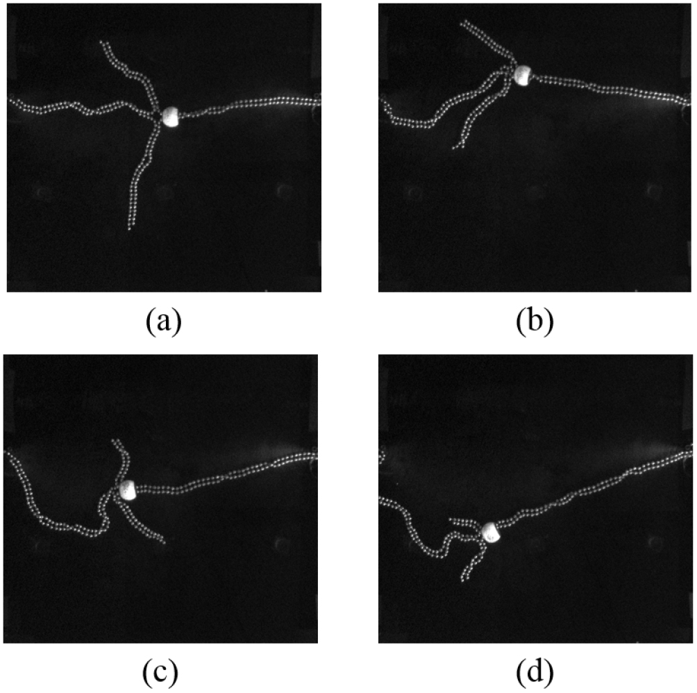 A mechanical mechanism for translocation of ring-shaped helicases on ...