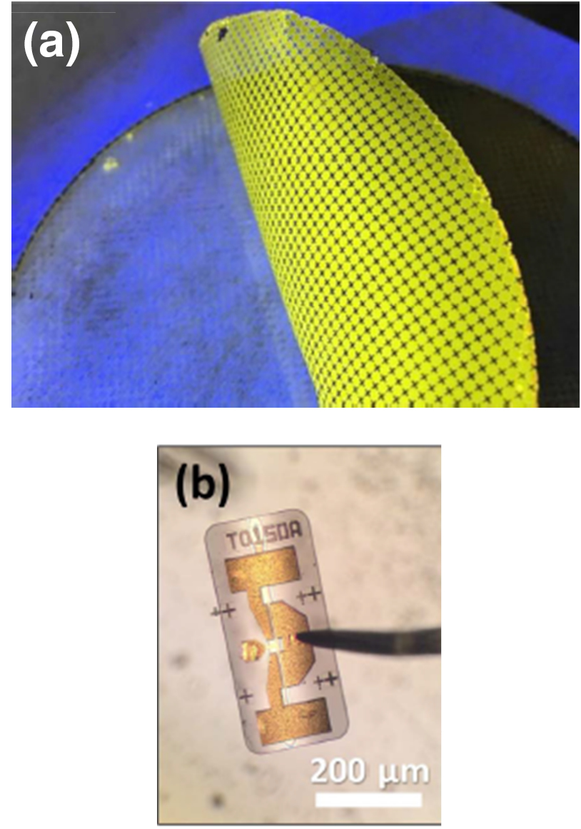 The 2018 GaN power electronics roadmap - IOPscience