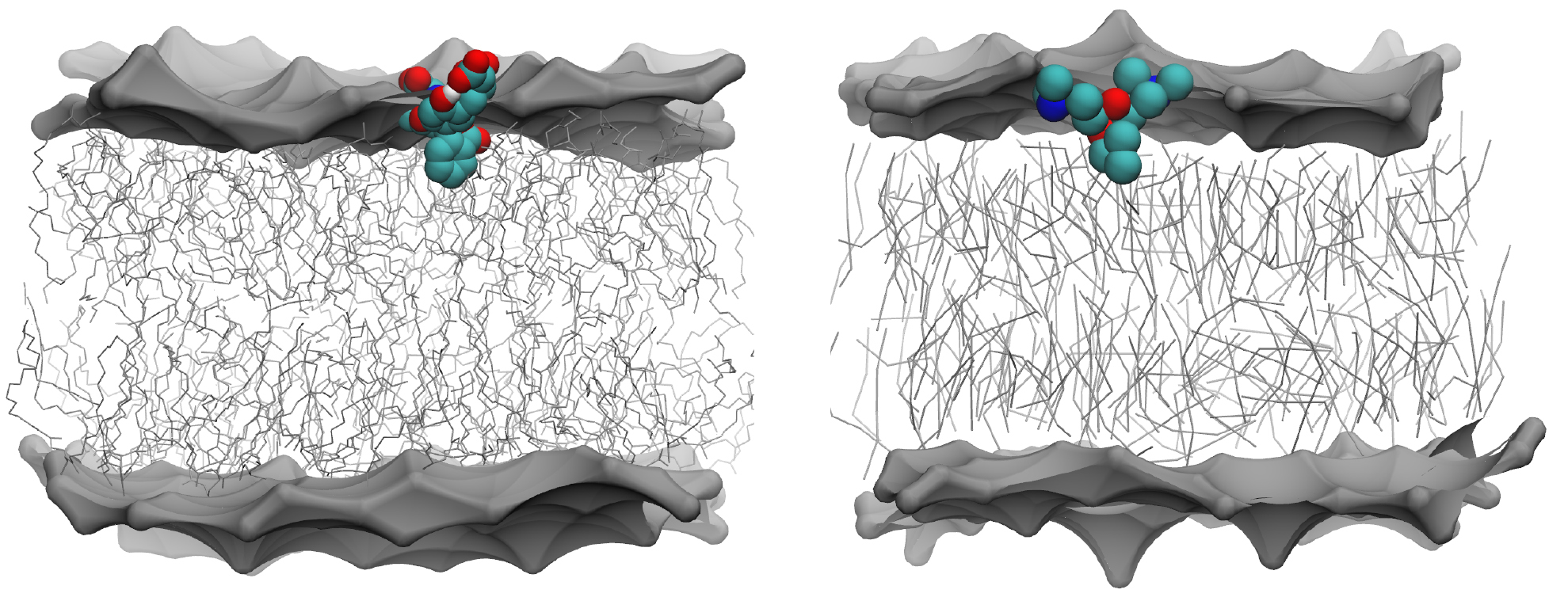 A Martini coarse-grained model of the calcein fluorescent dye - IOPscience