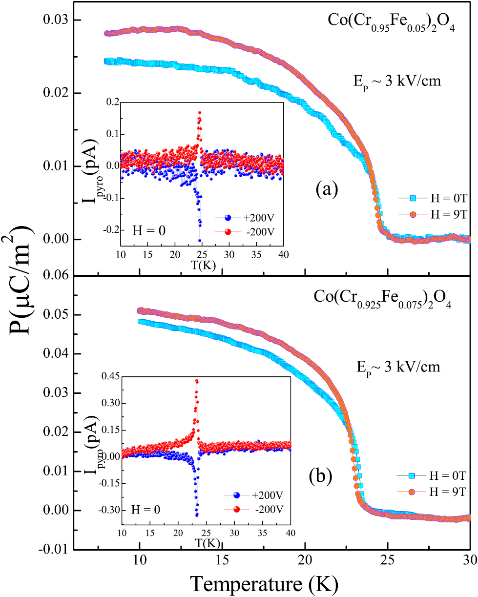 Influence of Fe substitution on multiferrocity and magneto-dielectric ...