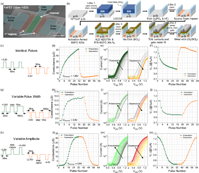 A ferroelectric field effect transistor based synaptic weight cell ...