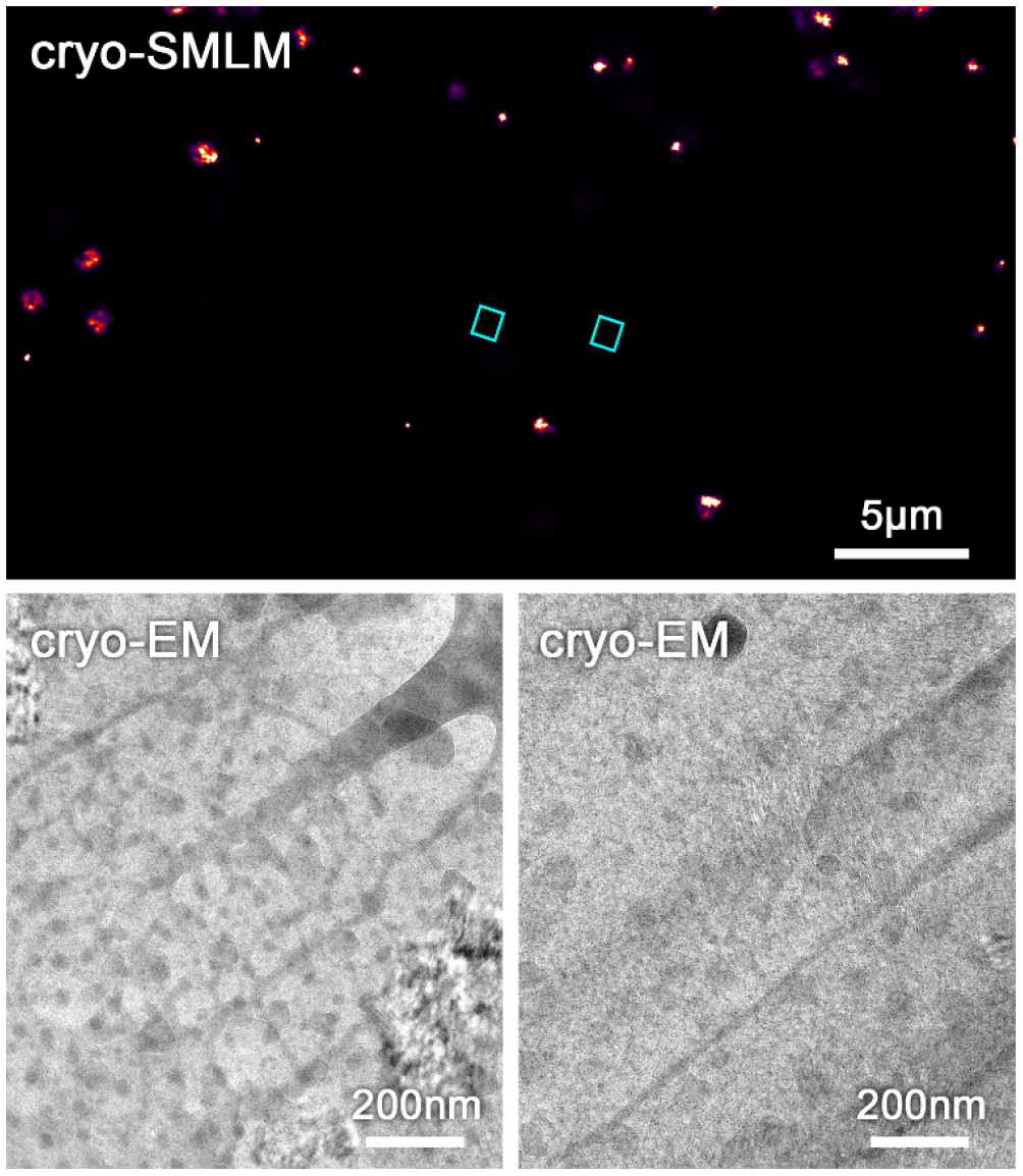 The 2018 correlative microscopy techniques roadmap - IOPscience