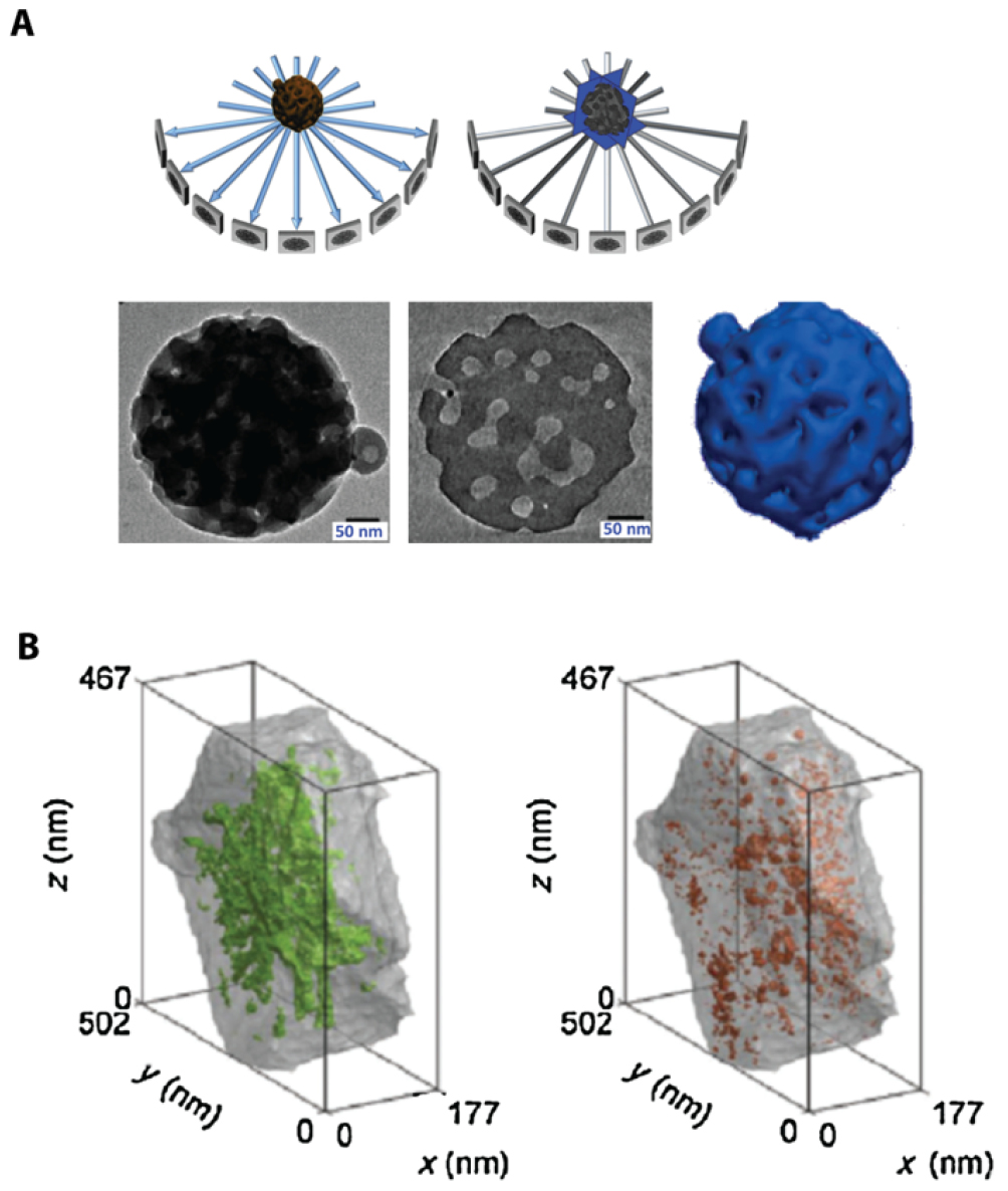 The 2018 correlative microscopy techniques roadmap - IOPscience