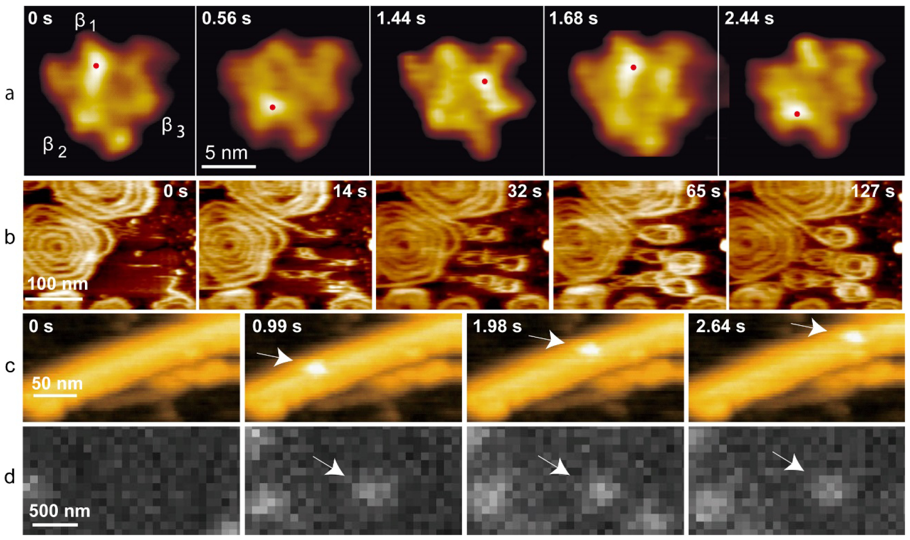 The 2018 correlative microscopy techniques roadmap - IOPscience