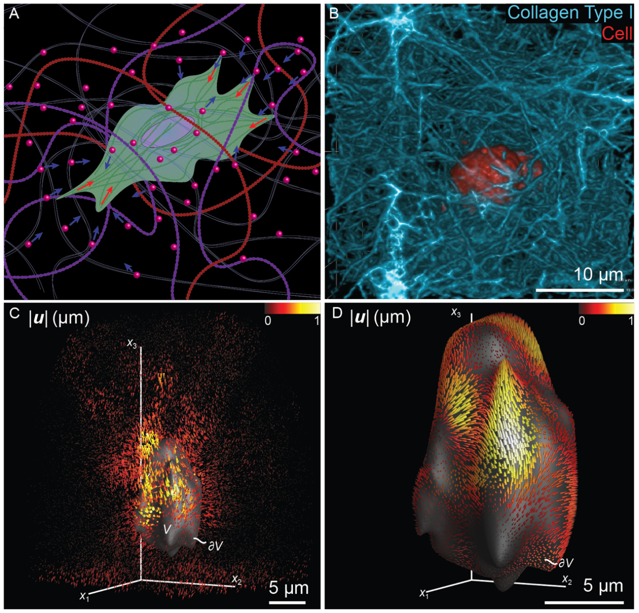 The 2018 correlative microscopy techniques roadmap - IOPscience