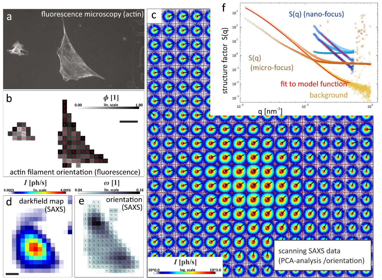 The 2018 correlative microscopy techniques roadmap - IOPscience