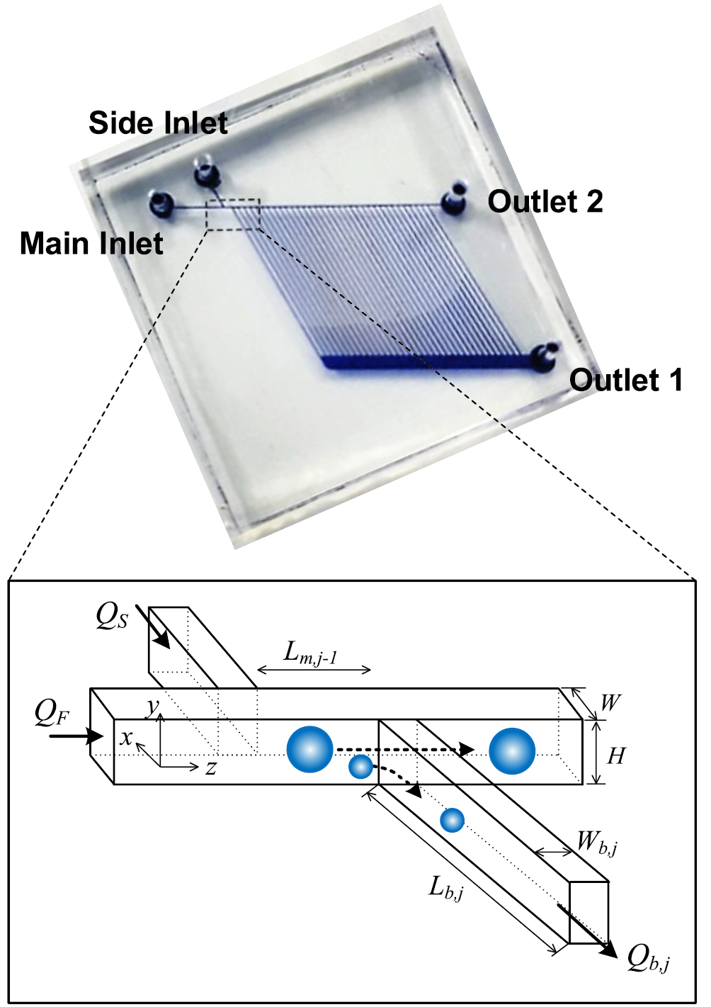 Effects of channel aspect ratio on microfluidic-chip design of ...