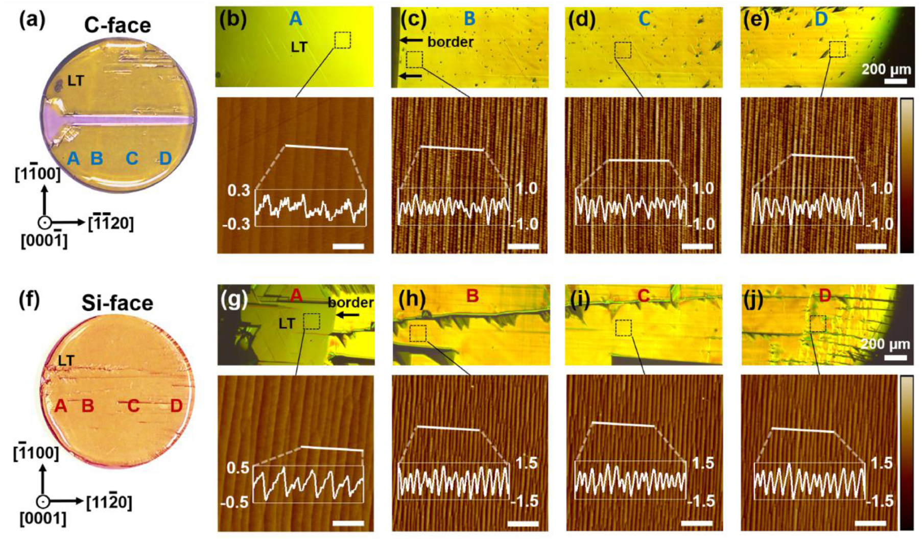 A comparative study of high-quality C-face and Si-face 3C-SiC(1 1 1 ...