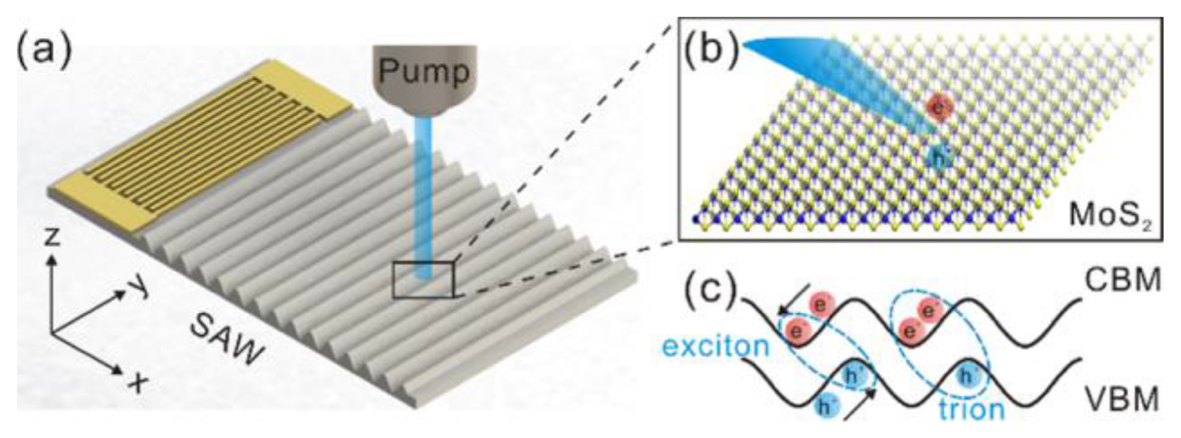 The 2019 surface acoustic waves roadmap - IOPscience