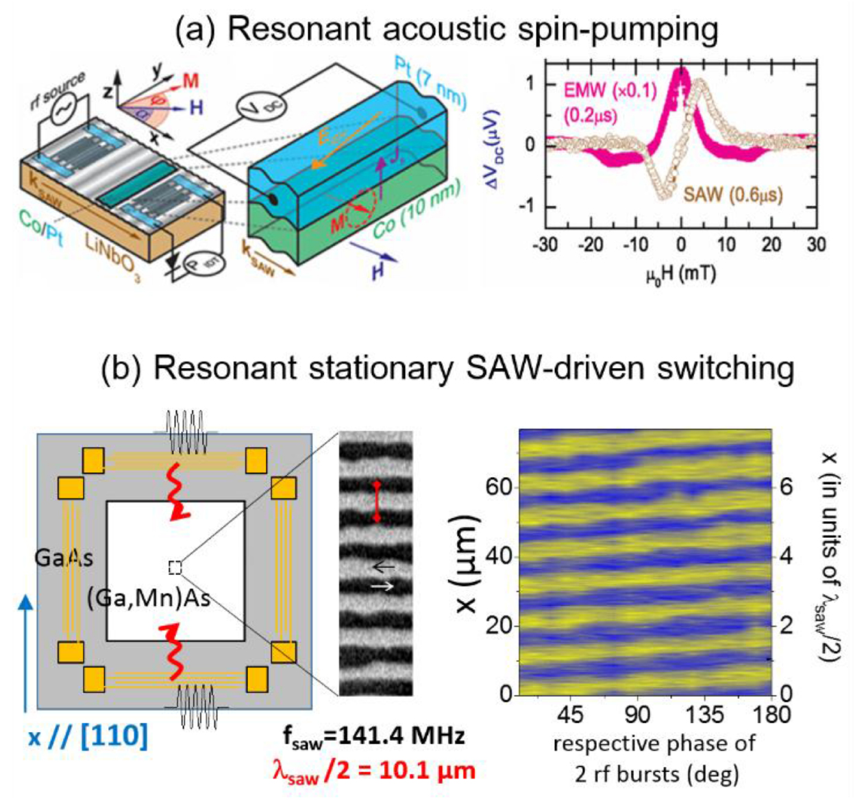 The 2019 surface acoustic waves roadmap - IOPscience