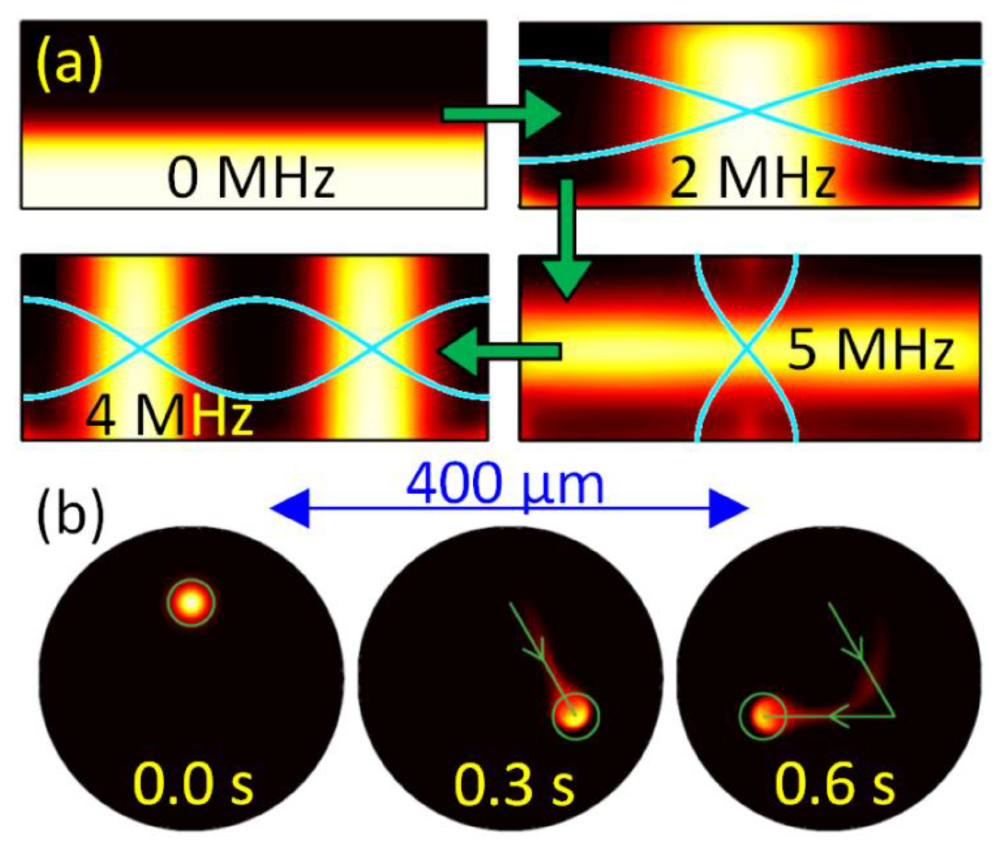 The 2019 surface acoustic waves roadmap - IOPscience