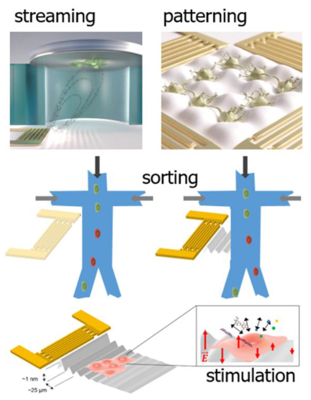 The 2019 surface acoustic waves roadmap - IOPscience