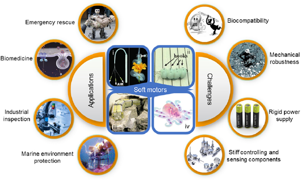 Self-fueled liquid metal motors - IOPscience