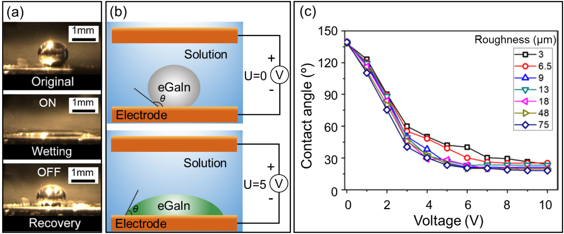 Self-fueled liquid metal motors - IOPscience