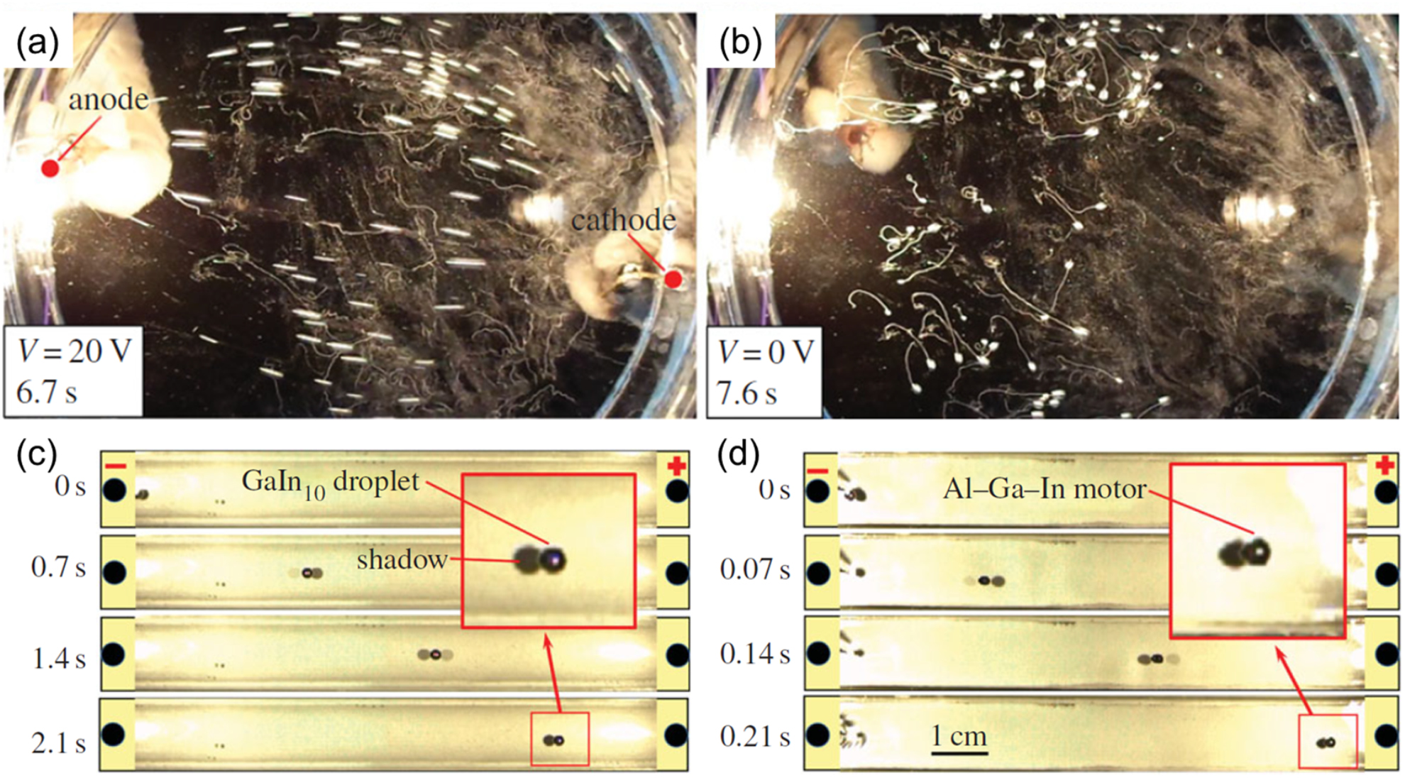 Self-fueled liquid metal motors - IOPscience