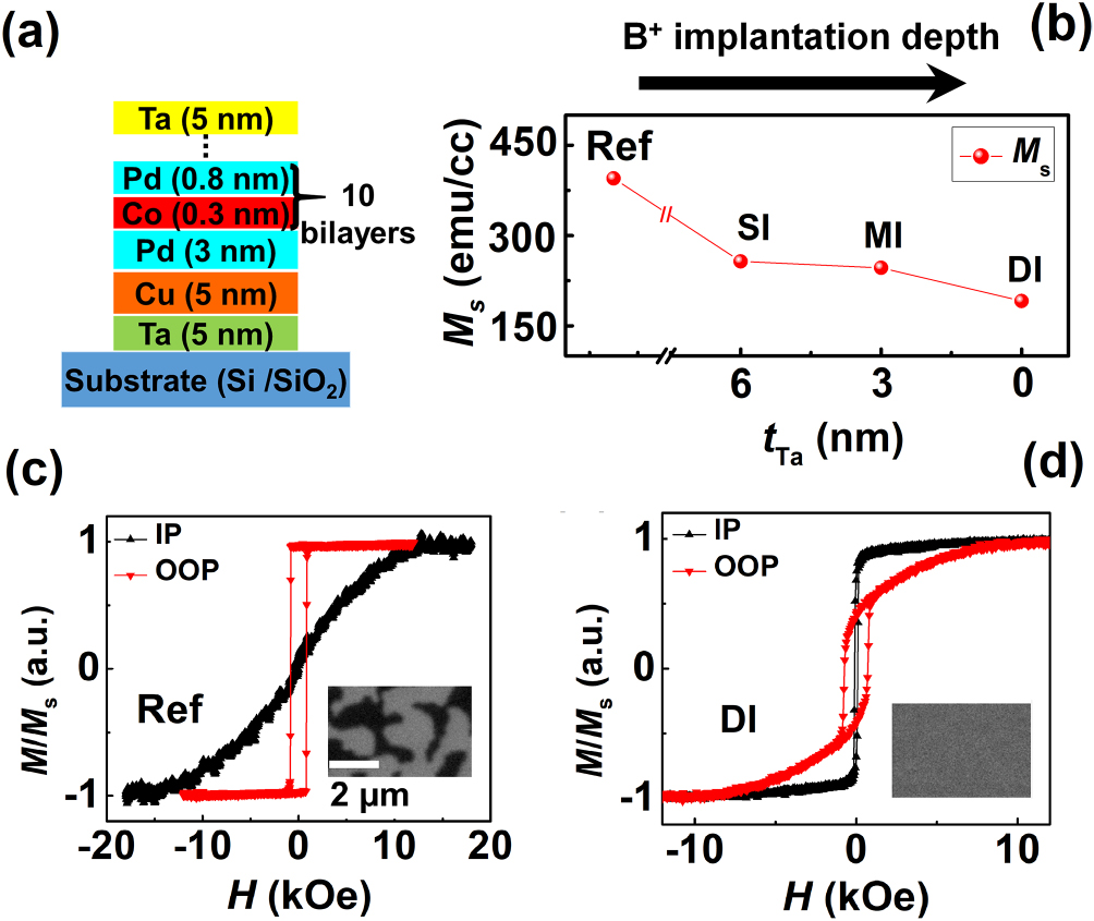 Synaptic element for neuromorphic computing using a magnetic domain ...