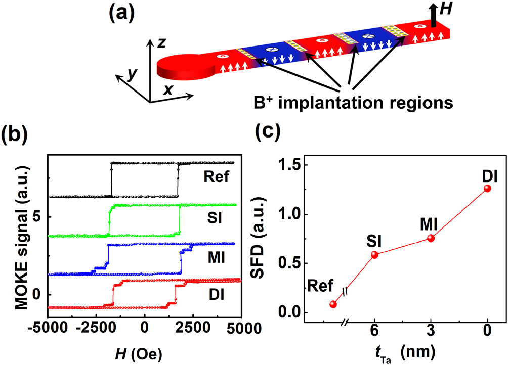 Synaptic element for neuromorphic computing using a magnetic domain ...