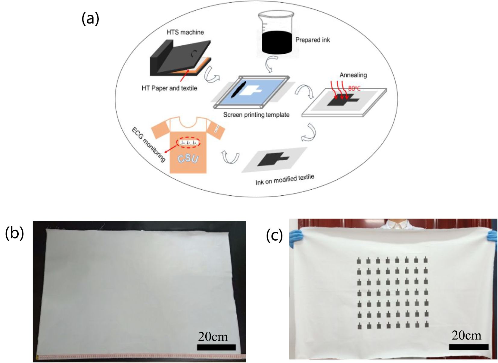 Washable and flexible screen printed graphene electrode on textiles for ...