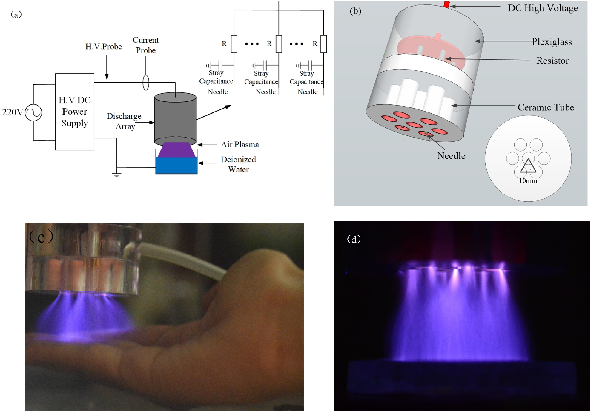 The key reactive species in the bactericidal process of plasma ...