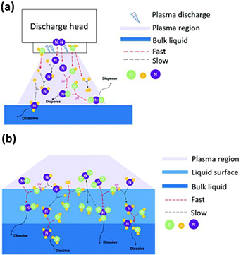 Plasma-activated water: generation, origin of reactive species and ...