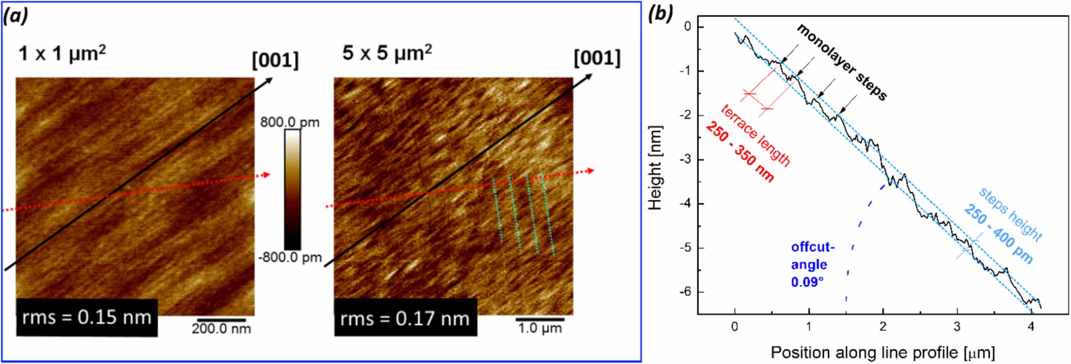 Towards smooth (010) β-Ga2O3 films homoepitaxially grown by plasma ...