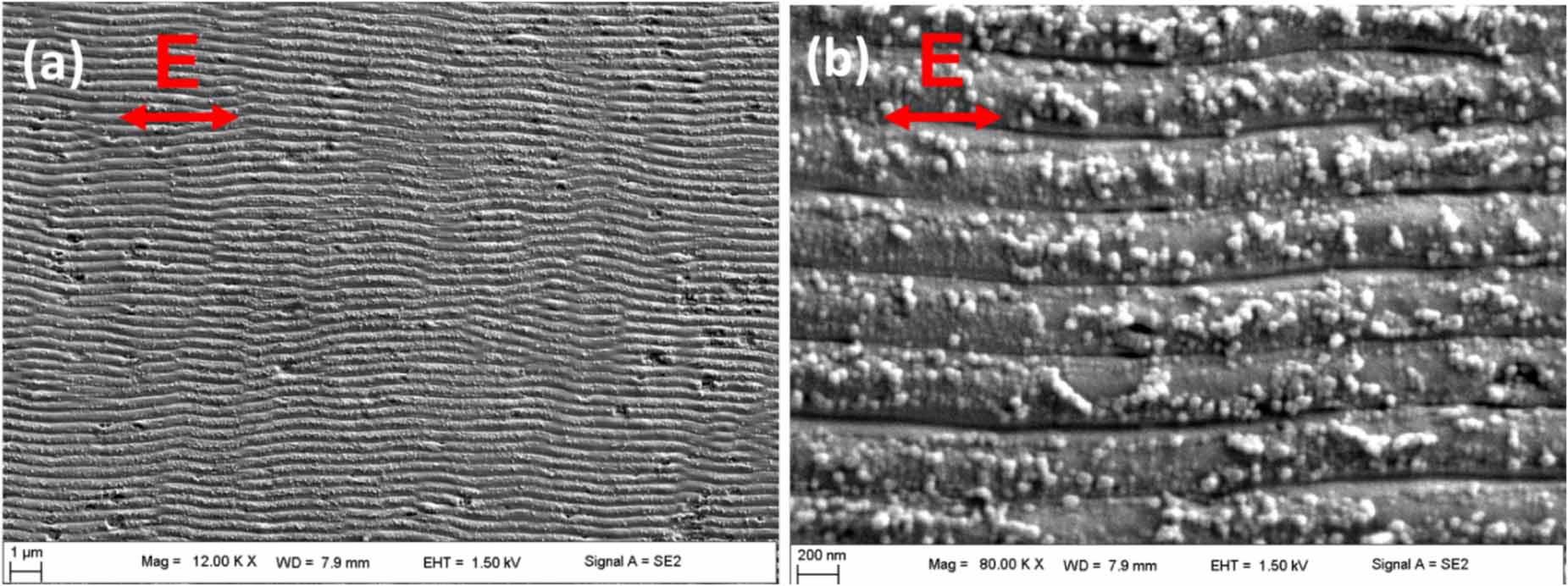 Femtosecond laser micro-structuring of amorphous polyether(ether)ketone ...