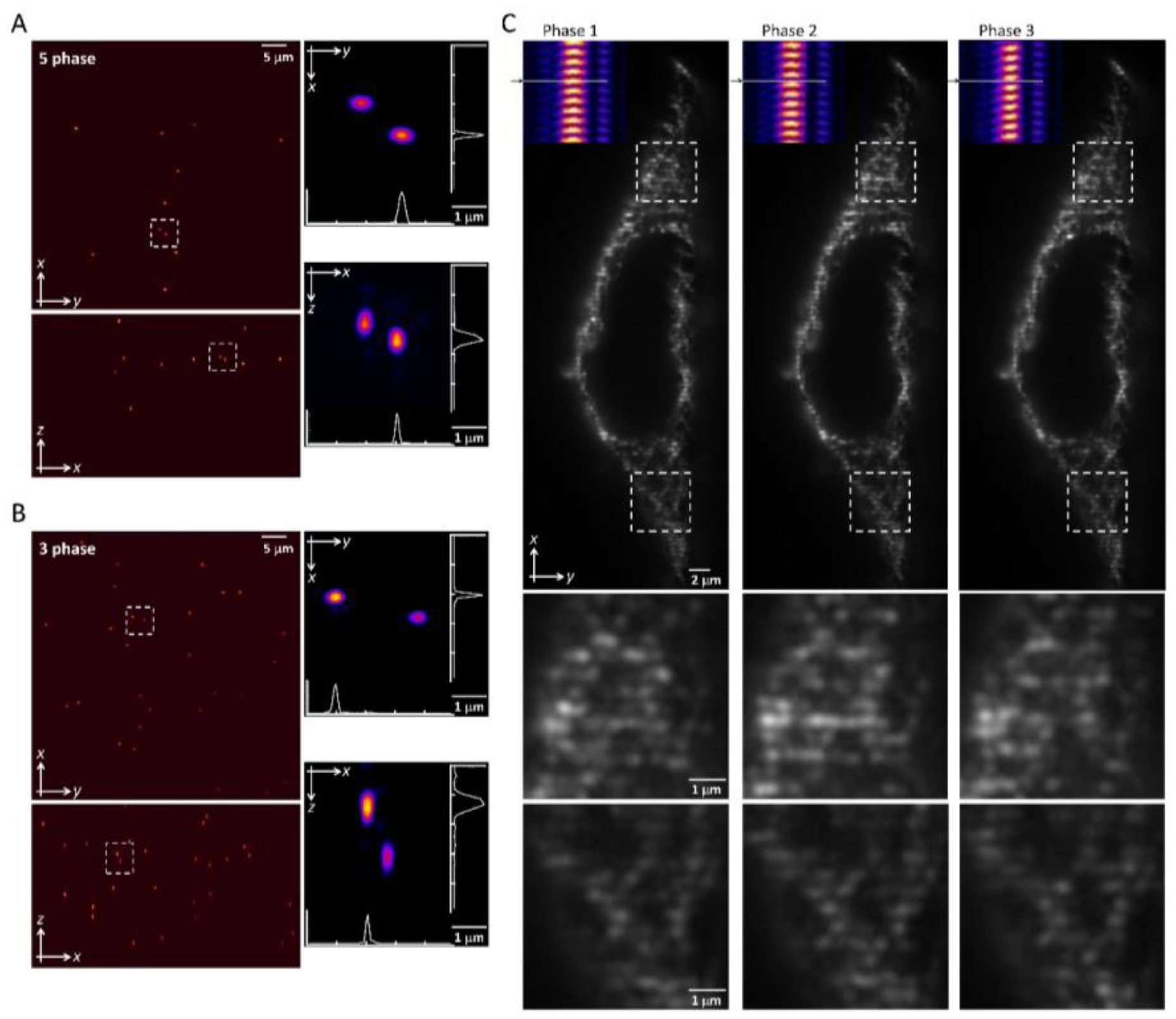 Two-beam interference lattice lightsheet for structured illumination ...