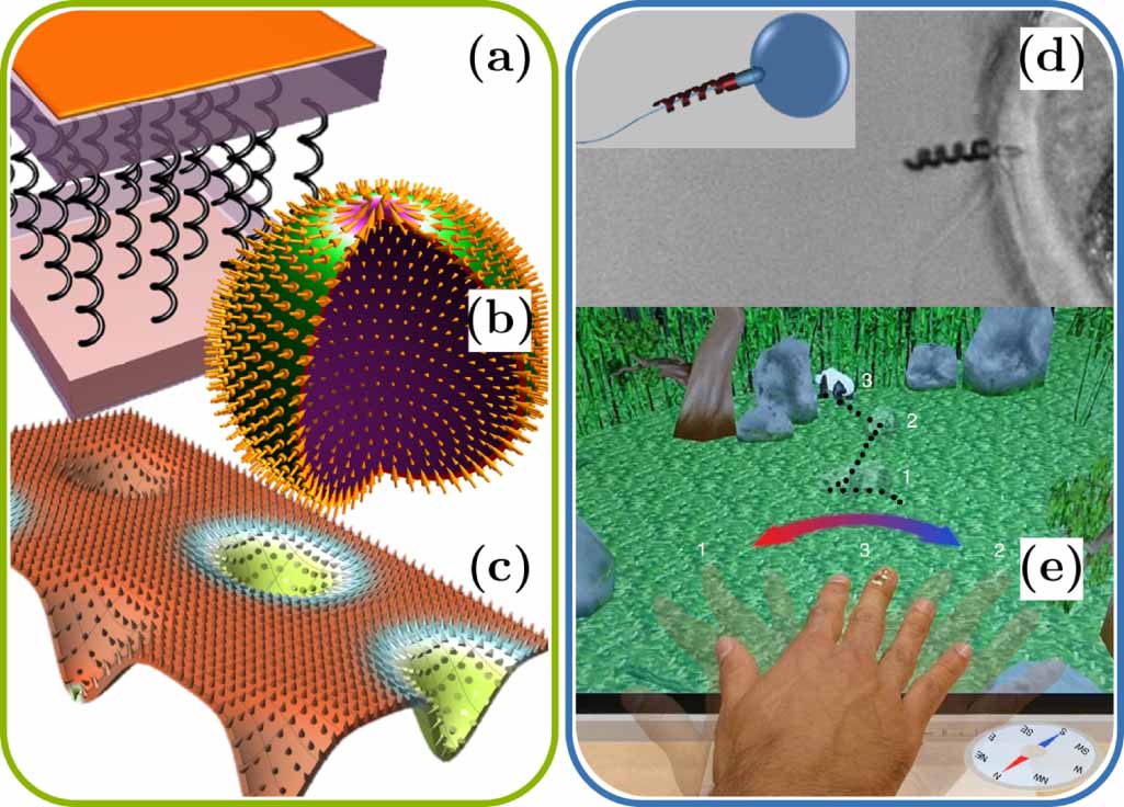 The 2020 magnetism roadmap - IOPscience