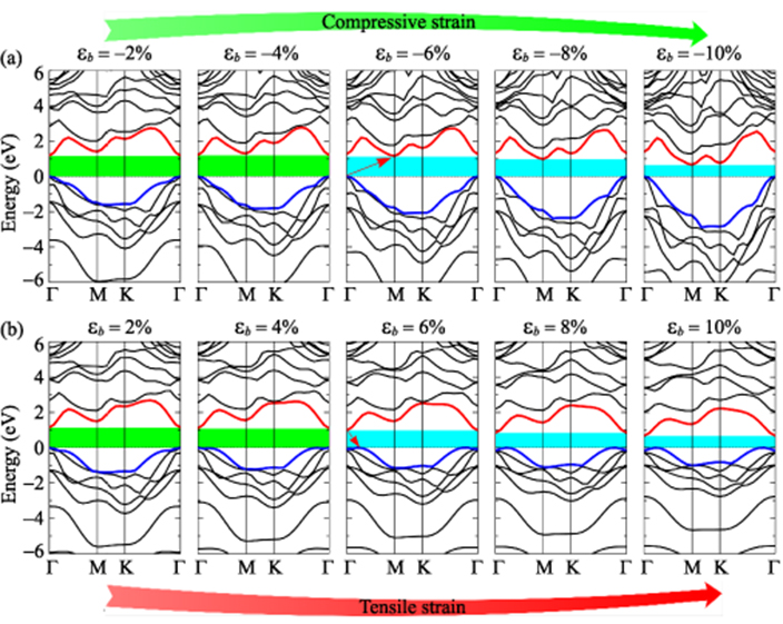 Computational prediction of electronic and optical properties of Janus ...