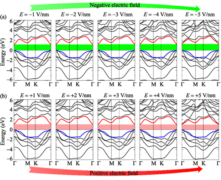Computational prediction of electronic and optical properties of Janus ...