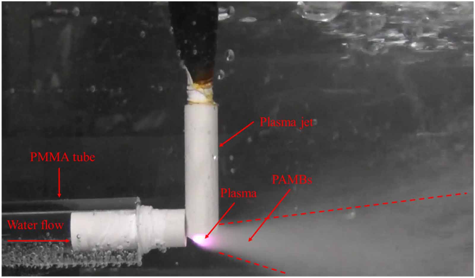 Dissolution enhancement of reactive chemical species by plasma ...