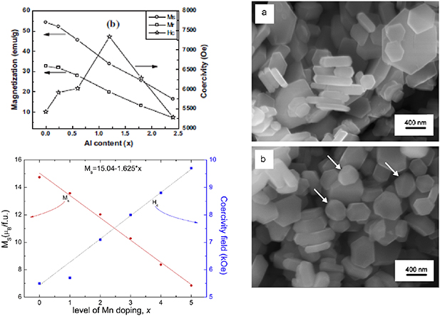 Progress and prospects of hard hexaferrites for permanent magnet ...