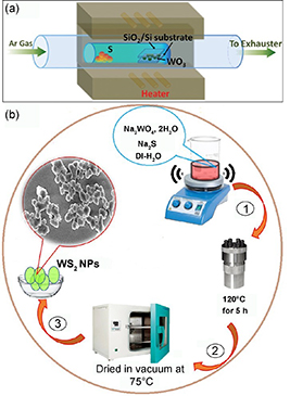 Properties, preparation, and application of tungsten disulfide: a ...