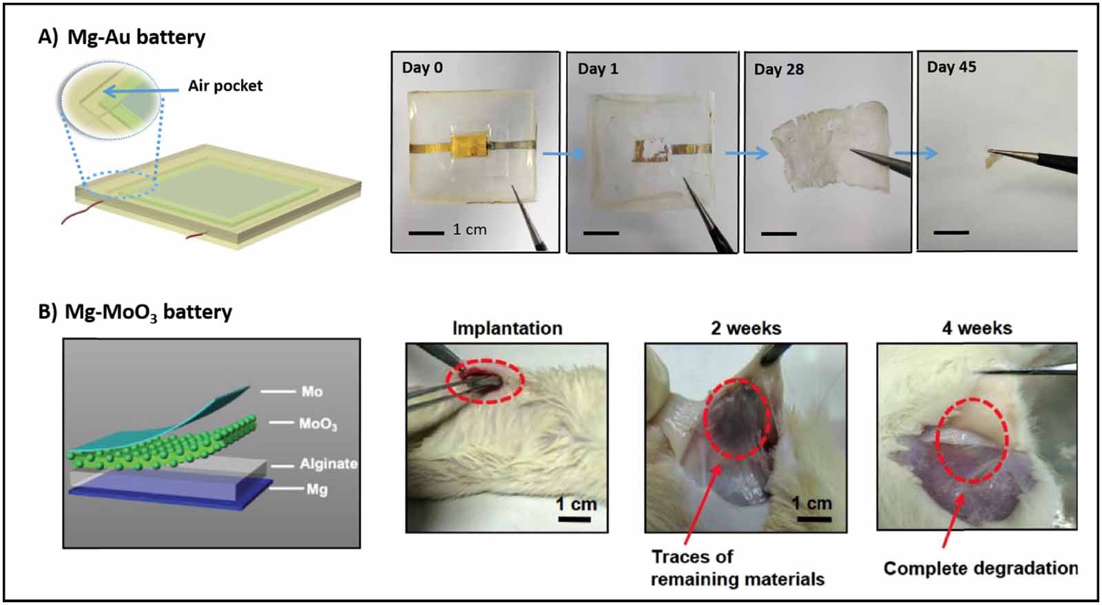 The 2021 battery technology roadmap - IOPscience