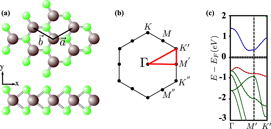 Anisotropic electronic and plasmonic properties of 2H-TiS2 - IOPscience