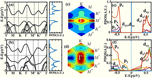 Anisotropic electronic and plasmonic properties of 2H-TiS2 - IOPscience