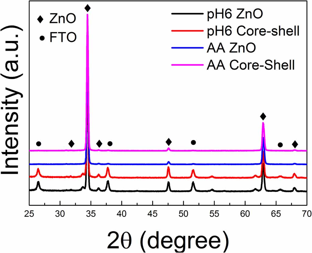 Influence of ZnO nanorod surface chemistry on passivation effect of ...