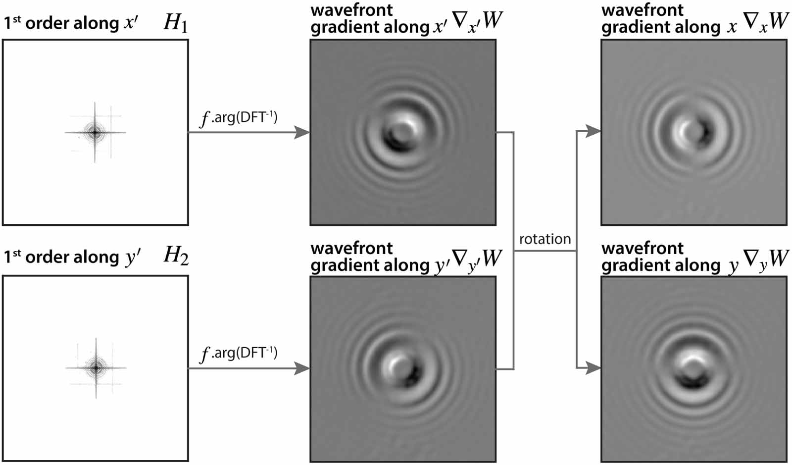 Quantitative phase microscopy using quadriwave lateral shearing interferometry (QLSI): principle ...