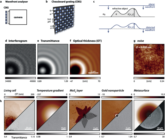 Quantitative phase microscopy using quadriwave lateral shearing interferometry (QLSI): principle ...