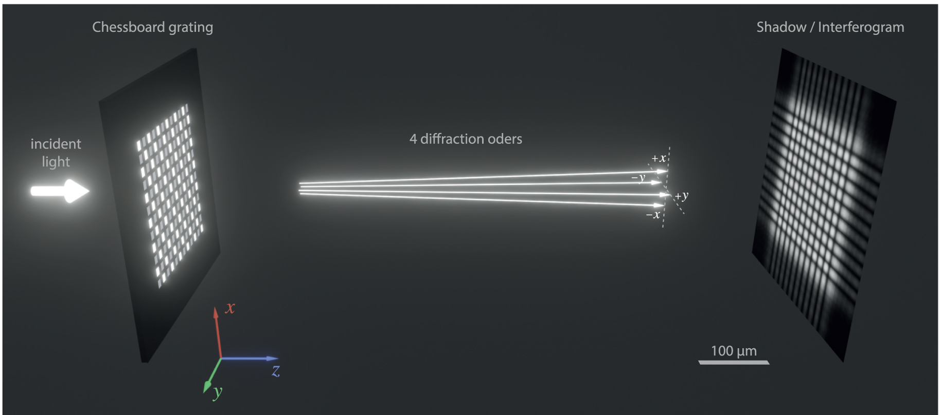 Quantitative phase microscopy using quadriwave lateral shearing interferometry (QLSI): principle ...