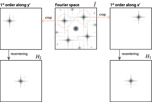 Quantitative phase microscopy using quadriwave lateral shearing interferometry (QLSI): principle ...
